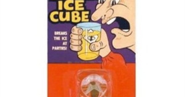 Jokes Fly In Ice Cube